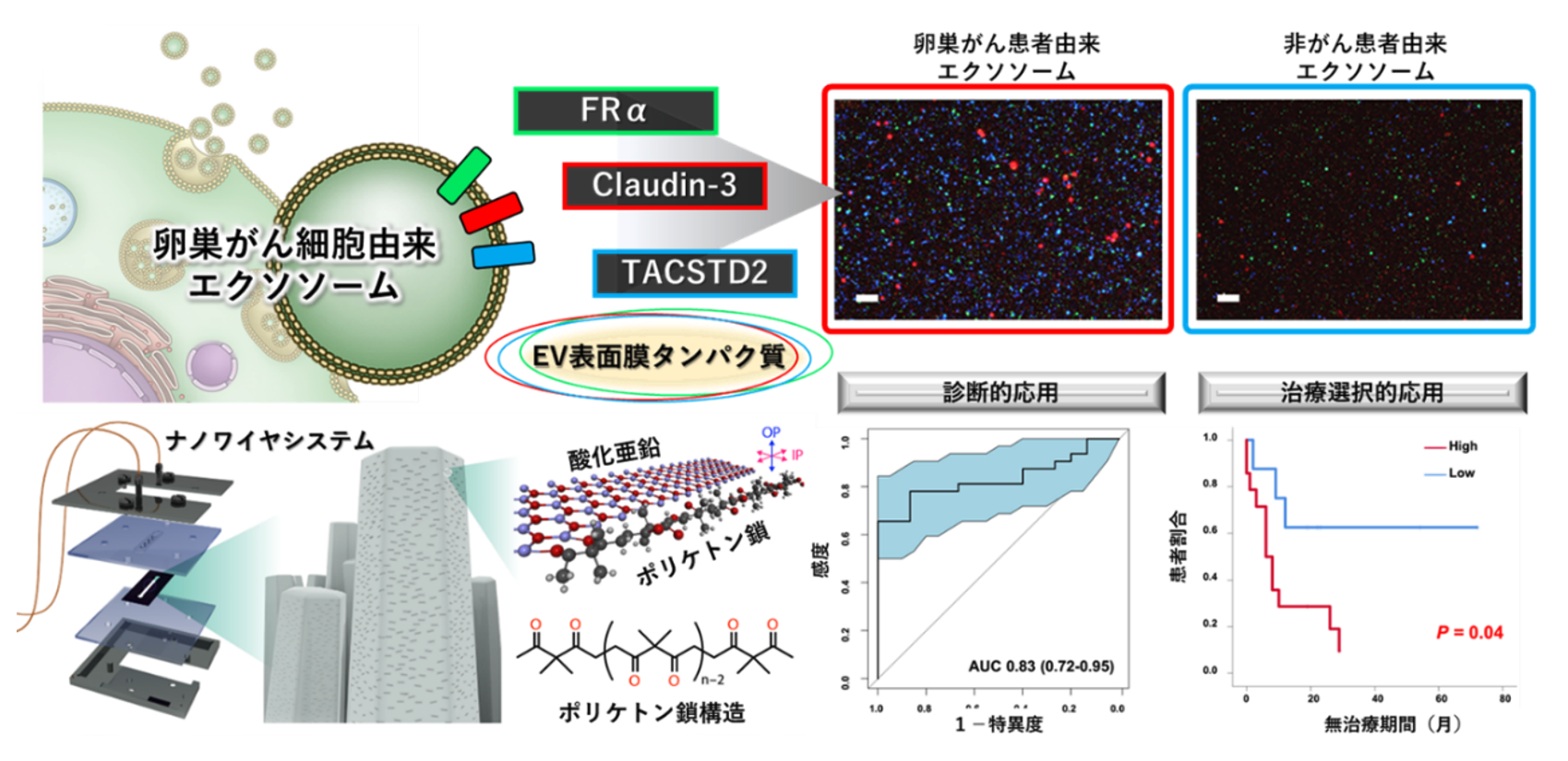 名古屋大学医学部・横井先生との共同研究論文（Science Advances, 2023）が、東京工業大学、名古屋大学、北海道大学、国立がん ...