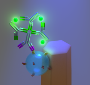 リサーチ – YASUI LAB