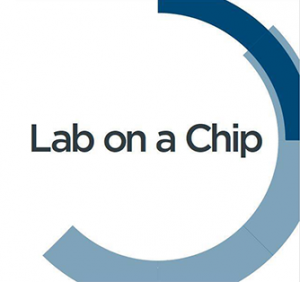 パブリケーション – YASUI LAB